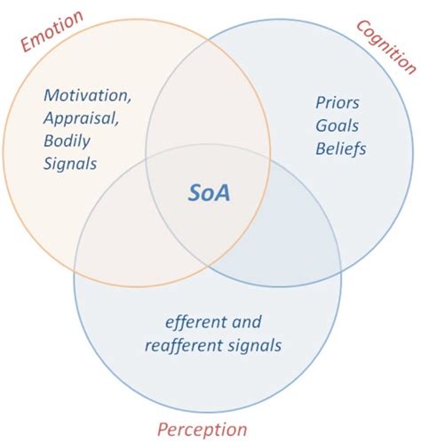 Illustration Of The Integration Of The Affective Dimension In
