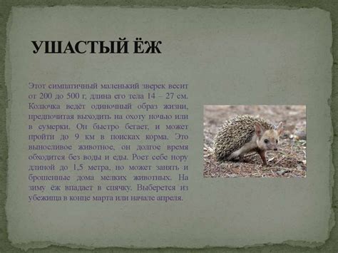 Животные из Красной Книги Новохоперского края презентация онлайн