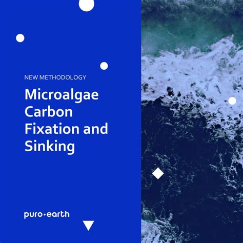 Puro Earth Approves Mcfs Methodology For Microalgae Carbon