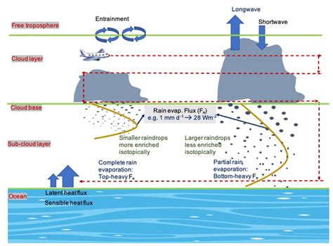 ACP Sub Cloud Rain Evaporation In The North Atlantic Winter Trade