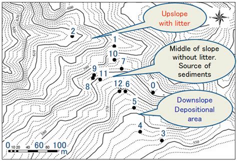 1 Geomorphological Features Of The Study Site Download Scientific Diagram