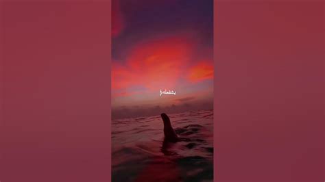 ولادت پیامبر مولود النبی Prophetmuhammadbirthday میلاد النبی Mawlid Muhammad ولادت حضرت