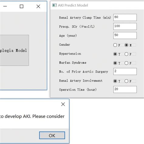 Prediction Program Our Program To Predict Whether A Complication Would