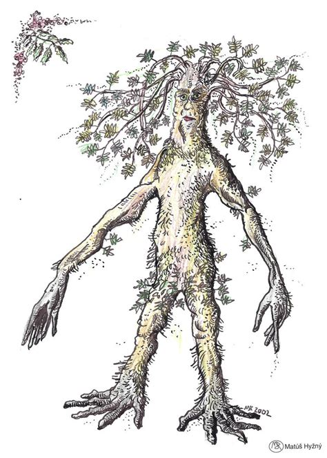 Lord Of The Rings Rp