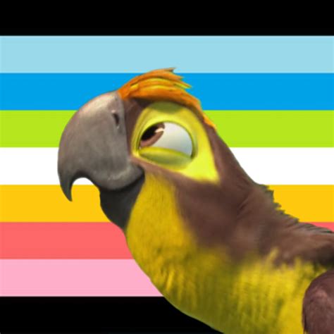 The Unknown Brown Macaw Your Local Autistic Bird Tumblr Blog Tumlook