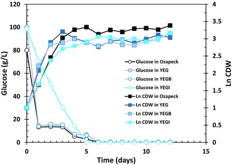 The Growth Profiles Of Penicillium Brevicompactum Mucl 19 011 In A
