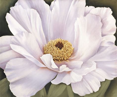 Peony Poster Print Virginia Huntington Posterazzi