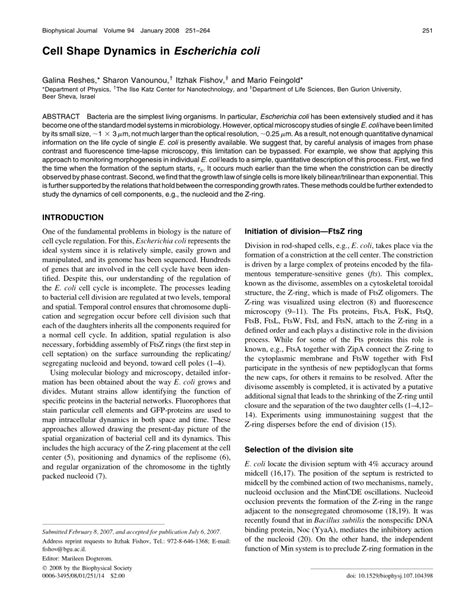Pdf Cell Shape Dynamics In Escherichia Coli