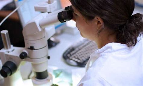 Master S Degree In Forensic Science Forensic Science Overview Master