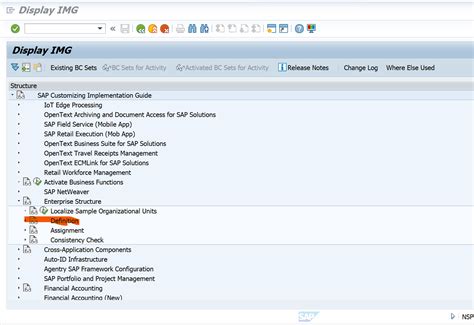 Define Company In SAP FICO