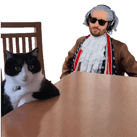 Cat Table Meme Stickers Find And Share On Giphy