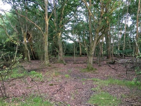 Chailey Common Sw Southdowns Orienteers