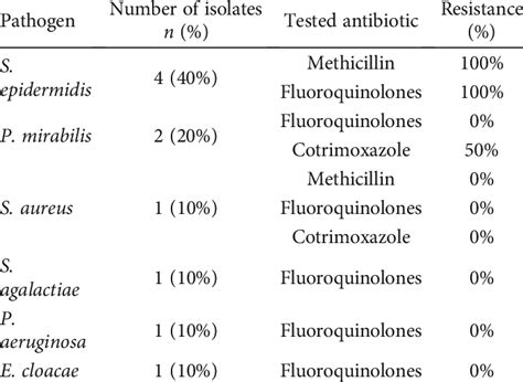 Isolated Pathogens And Their Resistance Pattern Download Scientific