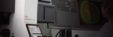 Live Cell Imaging Applications Leica Microsystems