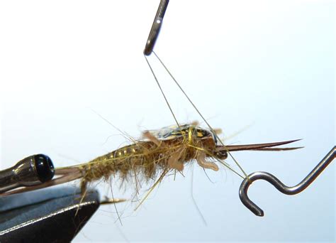 How To Tie Realistic Stonefly Nymph Frostyfly