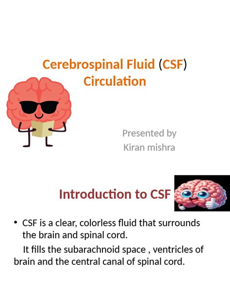 Csf Circulation Pathway Overview Pdf