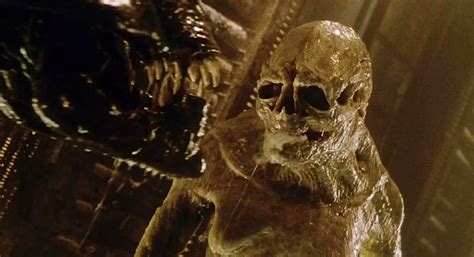 Xenomorf Human Hybrid