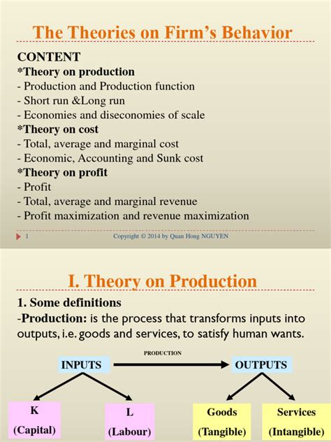 Chapter V Quan Nguyen Pdf Profit Economics Production Function