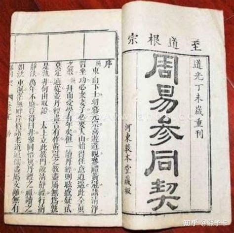 “畏”闻《临鸟》锨3：匆凹嘶娶衰剪痴恼异族算 知乎