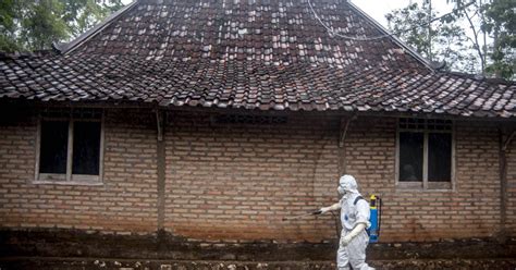 Indonesia Anthrax From Infected Meat Kills Three People With 93 Ill