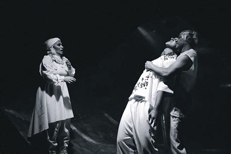 نگاهی متفاوت به مهاجرت در استرالیا؛ ۷۰۰ میلیون از جیب هزینه کردیم