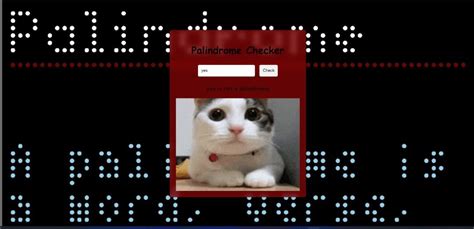 Palindrome Checker A Web App With Html Css And Javascript Elham Afzali Posted On The Topic