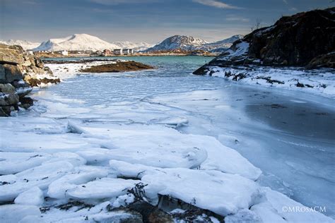 Isla De Sommarøy Noruega Mrosacm Flickr