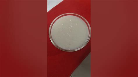 மரவள்ளி கிழங்கு கூழ் செய்வது எப்படி Maravalli Kilangu Koozh Recipe In