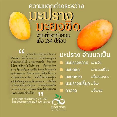 🍋มะปราง And มะยงชิด Esan Farmers Fair By สสก 4 ขอนแก่น