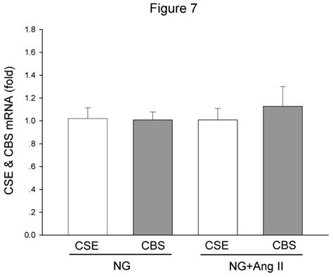 The Cse And Cbs Mrna Levels Were Measured By Real Time Pcr At 24h After Download Scientific