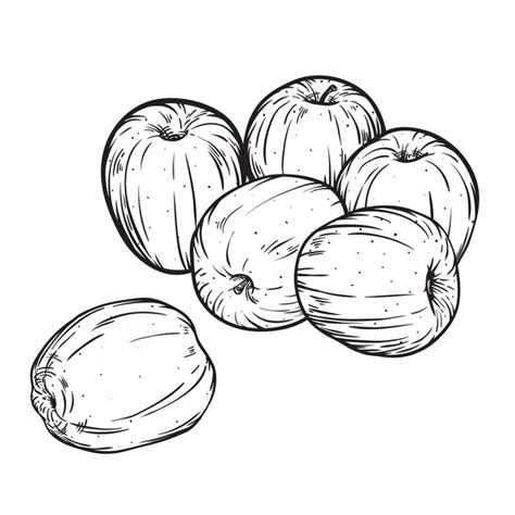 Premium Vector Set Of Hand Drawn Doodle Apple Illustration In Sketch