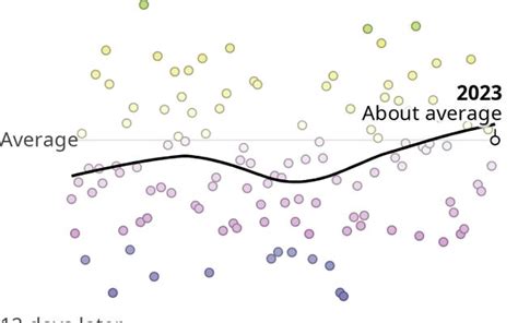 View Recent Notebooks From Our Community Observable