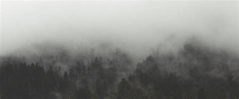 图片素材 薄雾 多雾路段 阴霾 大气现象 天空 早上 山站 大气层 云 树 地质现象 景观 森林 细雨