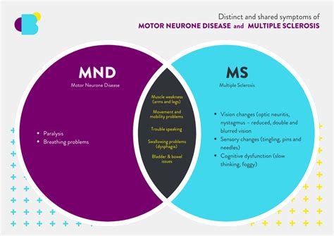 MND Vs MS Understanding The Key Differences Better Rehab