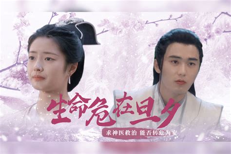 公子不可求：爱人生命危在旦夕，女子寻求神医救治，能否转危为安