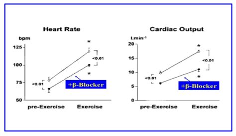 beta blockers and exercise flashcards quizlet