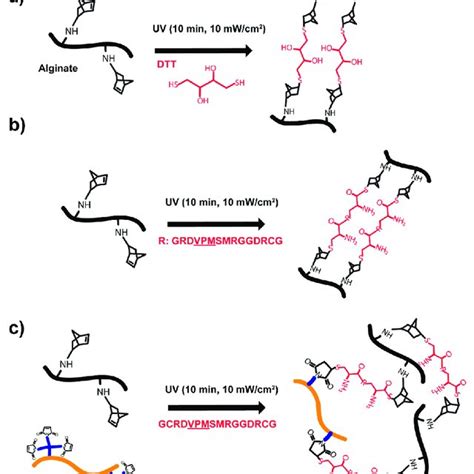 Youngs Modulus Mean ± Sd Of Covalently Crosslinked Alginate
