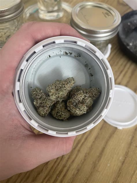 Mac 1 And Cap Junky From Insa Rflmedicaltrees