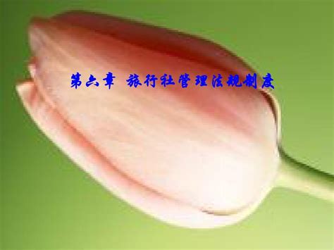 第四章 旅行社管理法规制度 Word文档在线阅读与下载 无忧文档