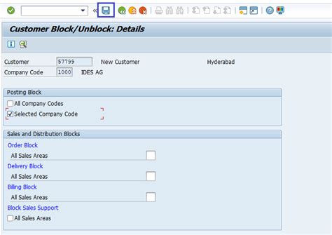 Sap Fi Block Customer