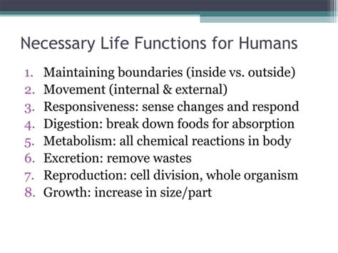 Anatomy Physiology Lecture Notes Ch Introduction Ppt