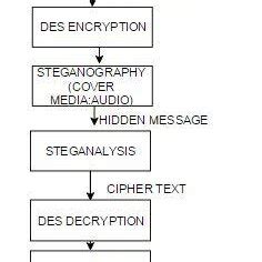 A Flow Chart Case 1 B Flow Chart Case 2 Download Scientific Diagram