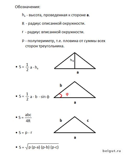 Формулы площади треугольника Фото БелГУТа