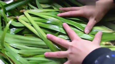 水豆豉搜狗百科