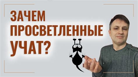 Есть ли смысл просветления и вообще смысл жизни? - YouTube