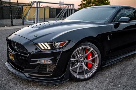 Ford Shelby Mustang Gt500 Black Signature Sv104