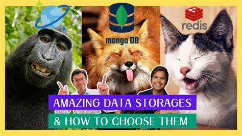 Databaes On Linkedin Data Storage Options And Decision Processes