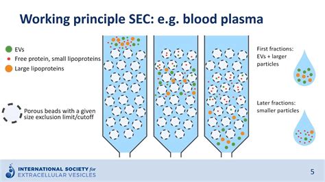 Exclusion Chromatography Types At Justin Goodenough Blog