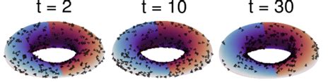 Qualitative Visualization Of Behavior On Klein Bottle Topology For