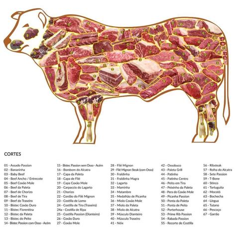 Beef Carcass Break Down Beef Cuts Artofit